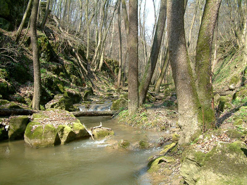 Gaja-patak, Székesfehérvár