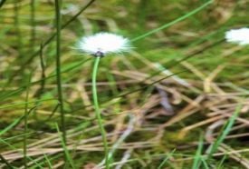 Siroki látnivalók - látnivalók Sirokon